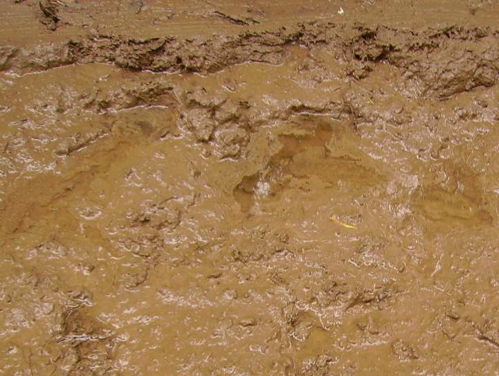 Schlamm im Traum – 12 Botschaften, die du ernst nehmen solltest